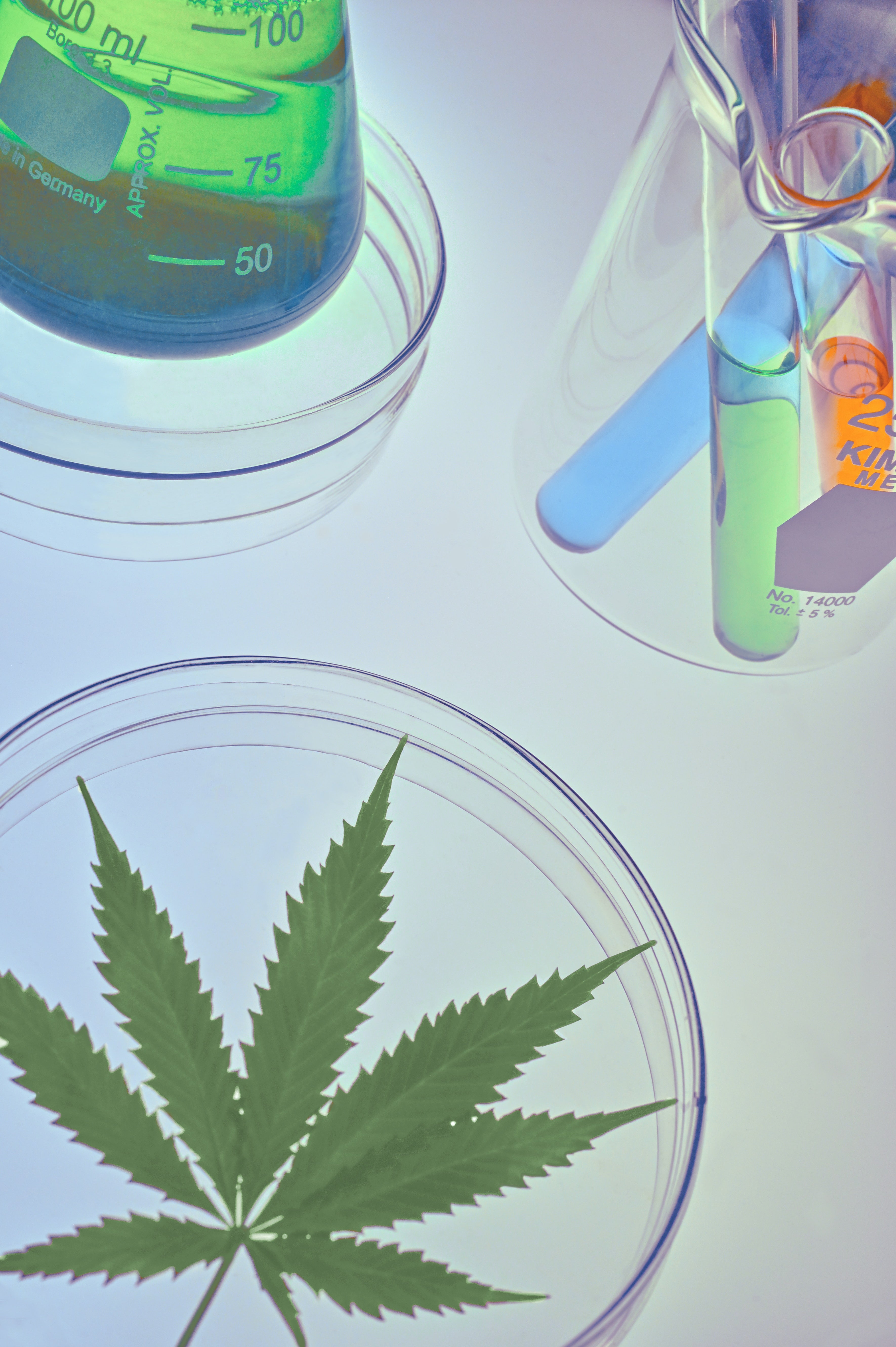 Explaining the Differences Between CBD Isolate, Broad Spectrum, and Fu ...